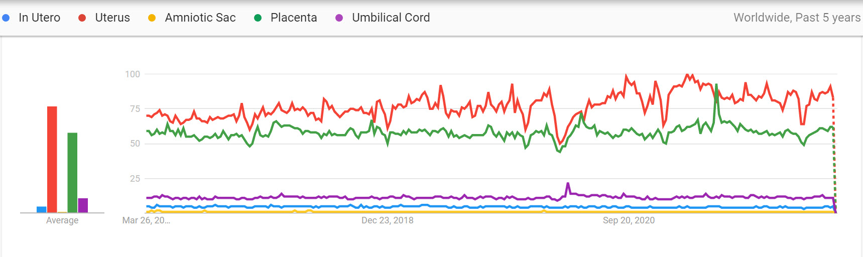 In Utero Definition – BirthForMen
