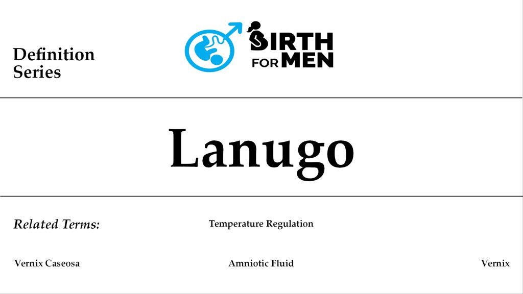lanugo-definition-birthformen