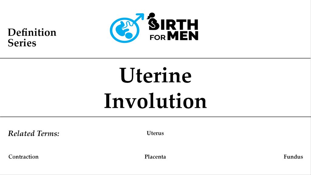 Uterine Involution Definition – BirthForMen