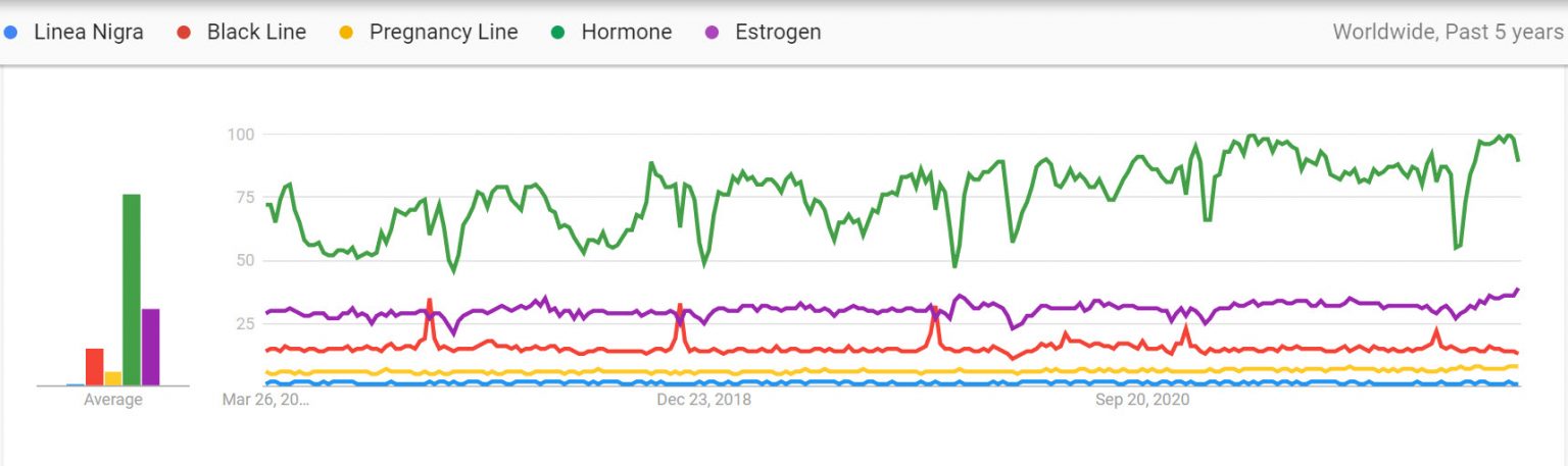 Linea Nigra Definition – BirthForMen