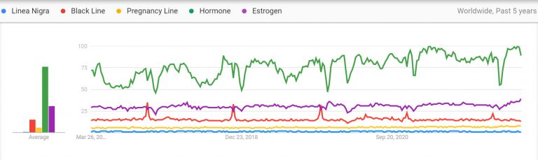 Linea Nigra Definition – BirthForMen